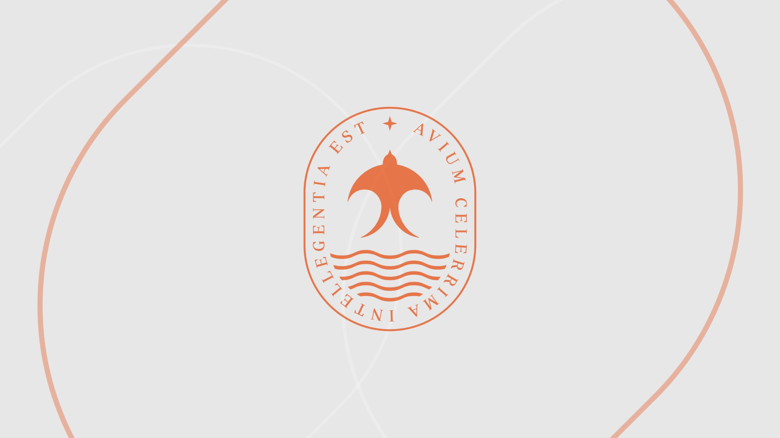 VIU presenta sus nuevos programas para el curso de 2024 | VIU España